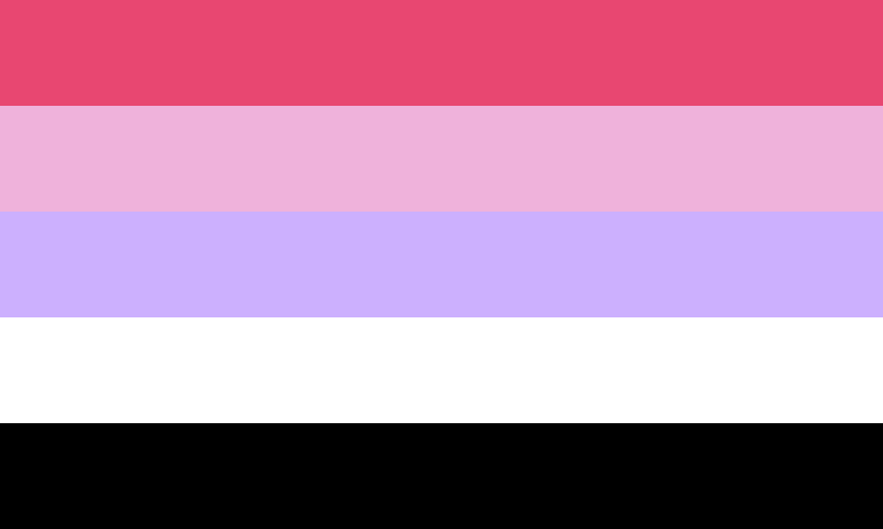 Pride Flag Guide: Reciprosexual | Library.LGBT