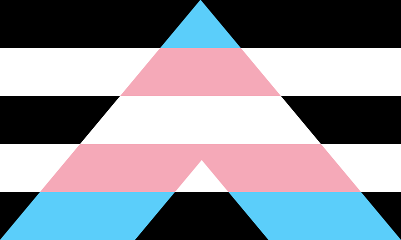 Pride Flag Guide Trans Ally Library Lgbt