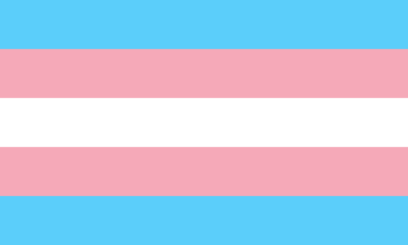 Pride Flag Guide: Transgender | Library.LGBT