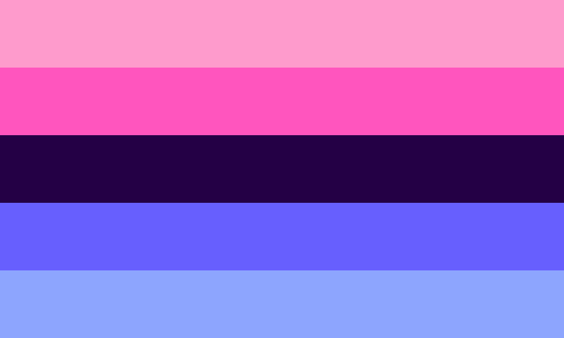 Pride Flag Guide: Omnisexual | Library.LGBT