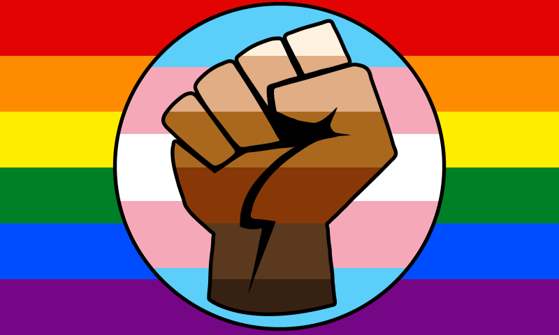 Pride Flag Guide: QTPOC | Library.LGBT